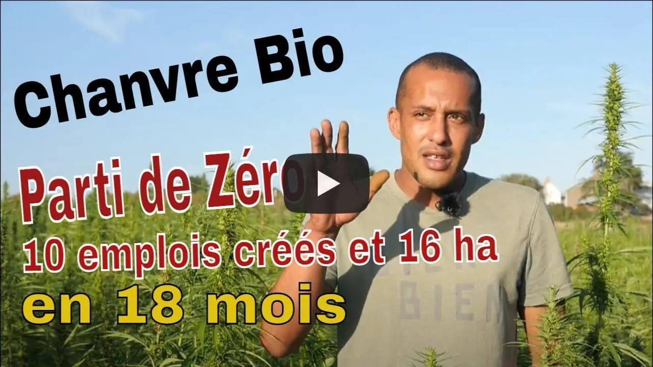 Formation chanvre : ce que vous devez savoir pour vous lancer