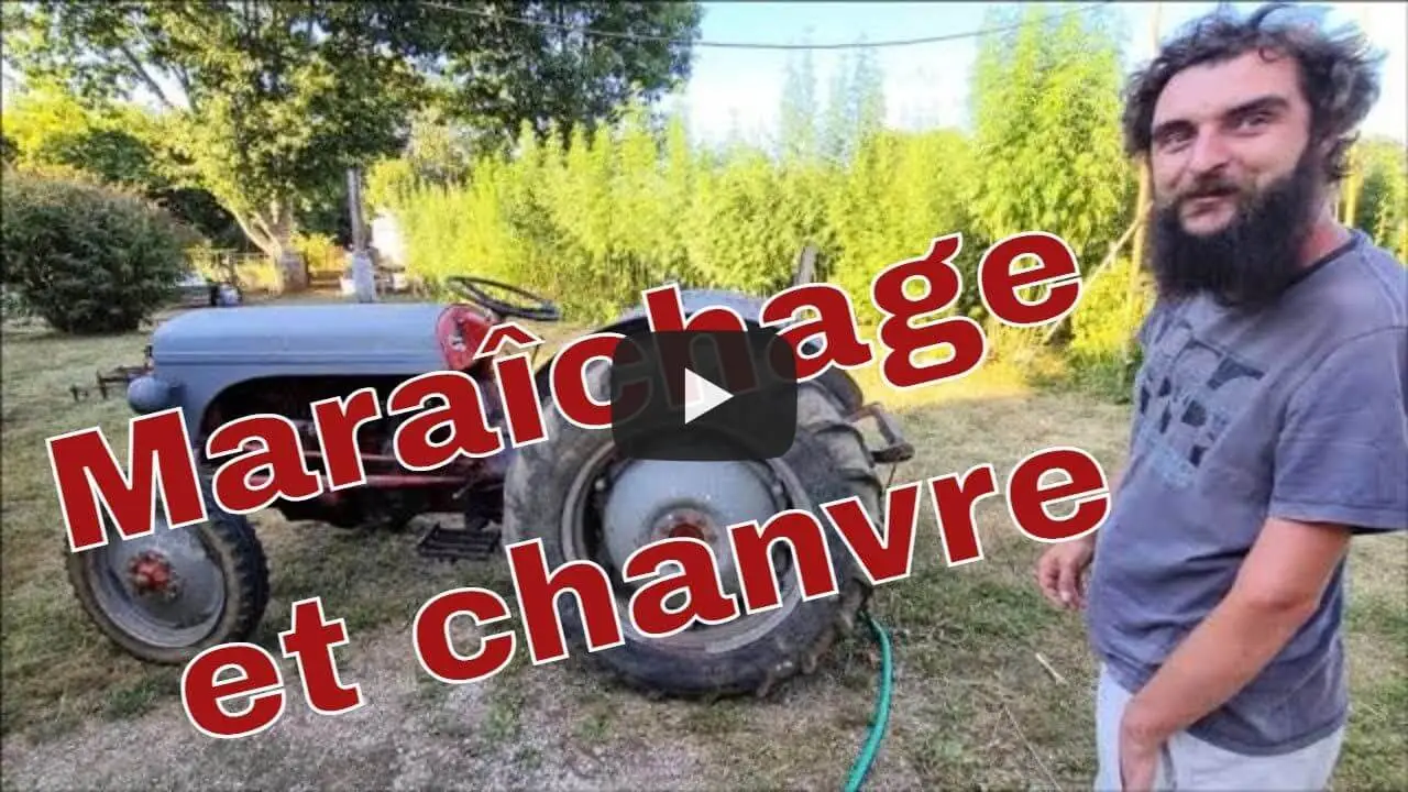 Formation chanvre : ce que vous devez savoir pour vous lancer