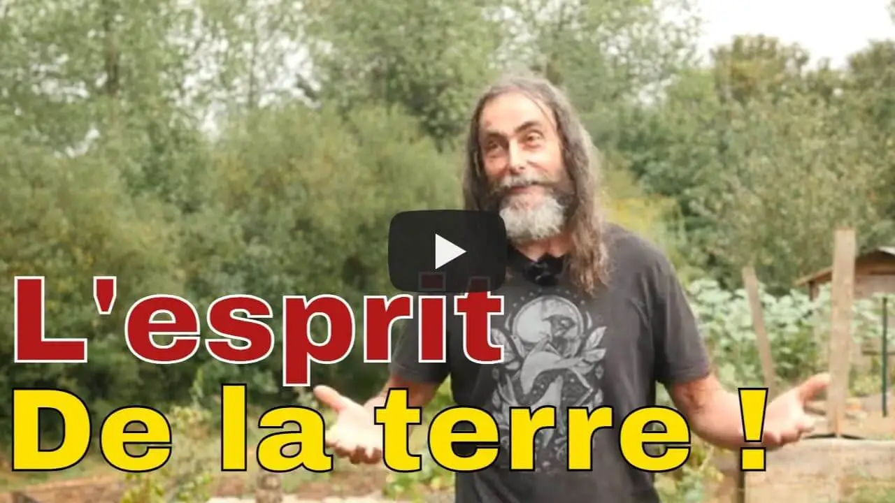 Formation chanvre : ce que vous devez savoir pour vous lancer